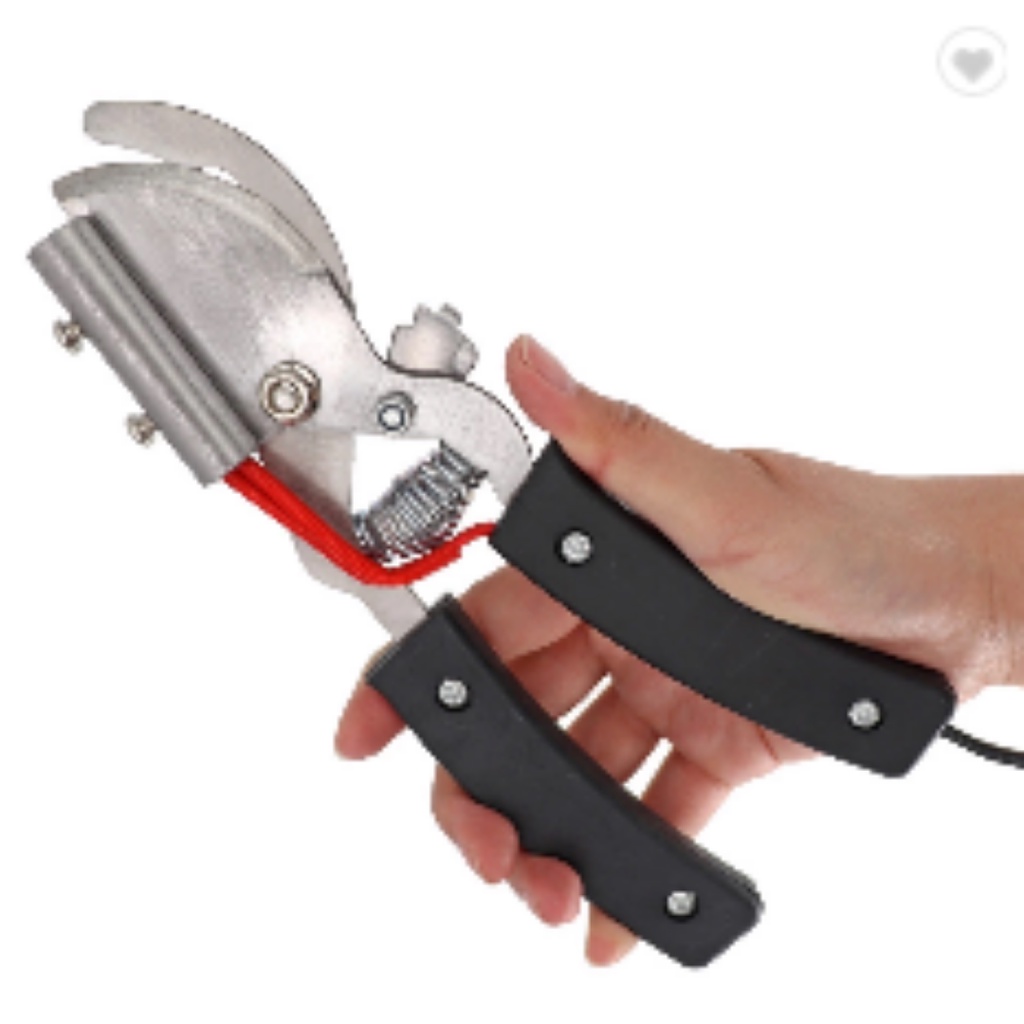 Snip Tail Cutter For Pig3 In 1 Pig Kit Piglets Tail Piglet Tooth Cutter ...