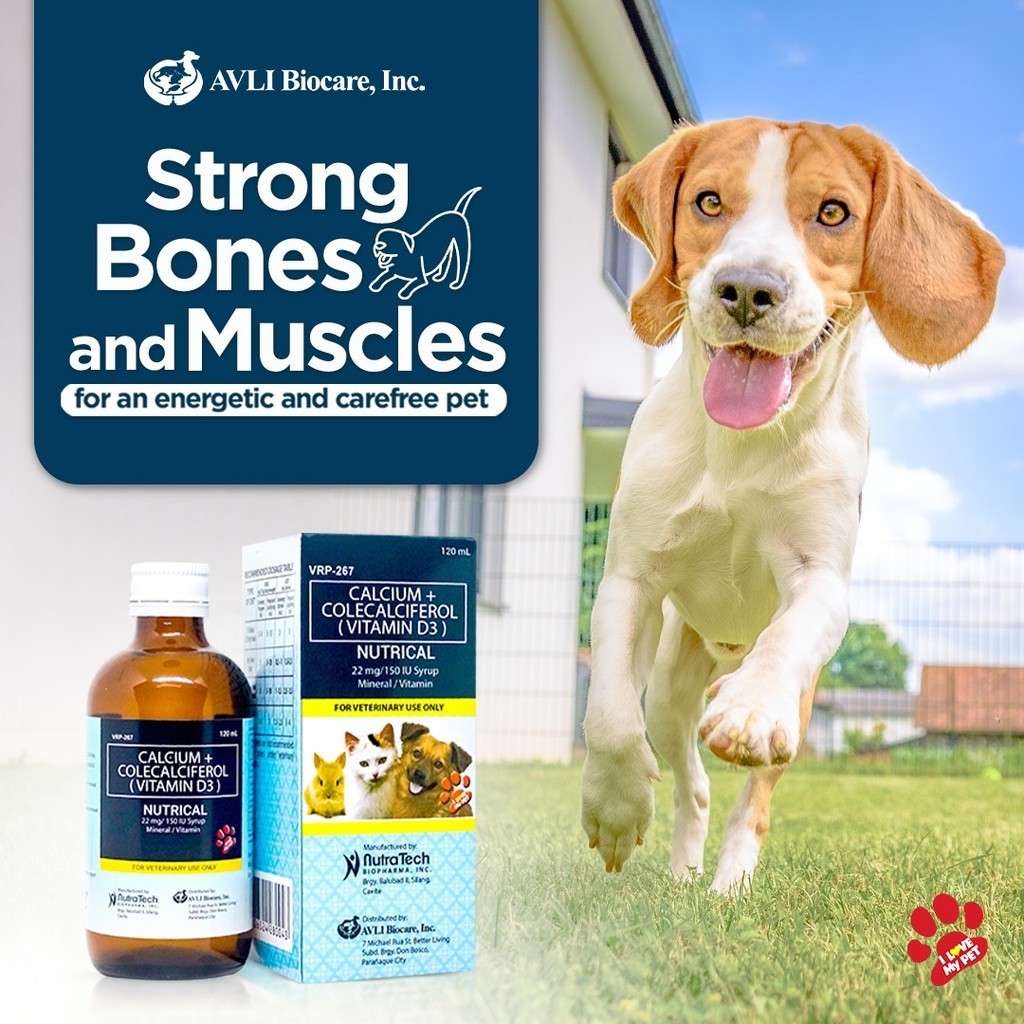 Nutrical Syrup Calcium Supplement for Cats and Dogs | Shopee Philippines