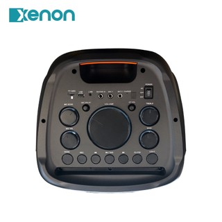 Xenon Portable Bluetooth Speaker 10" x 2, 120W + Free 2 Wireless Mic ...