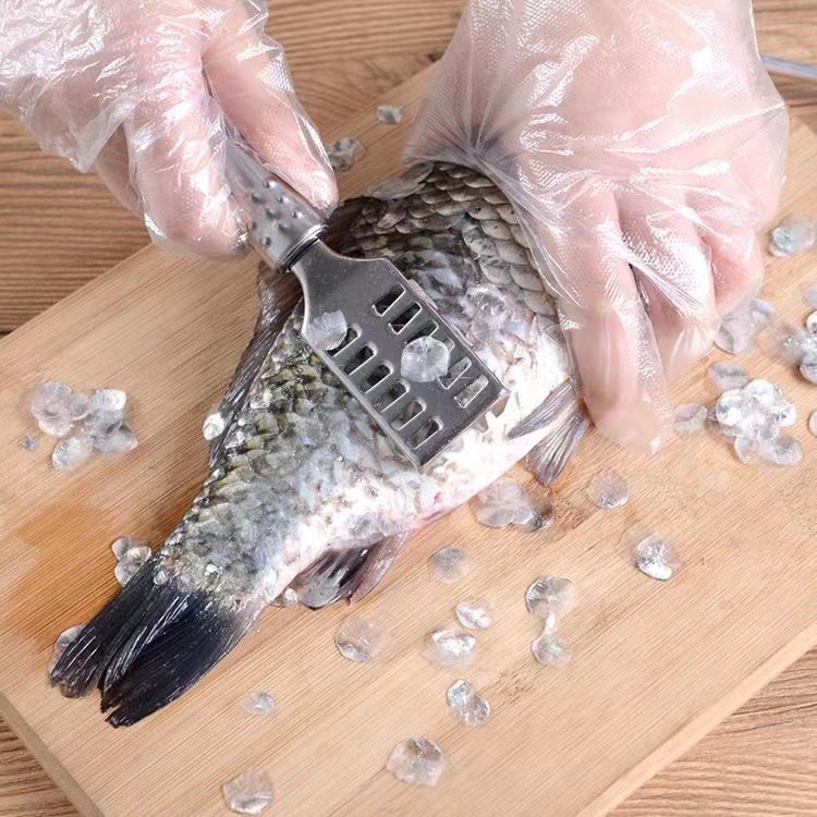 Stainless Steel-Plastic Fish Scale Scraper With Built-In Storage ...