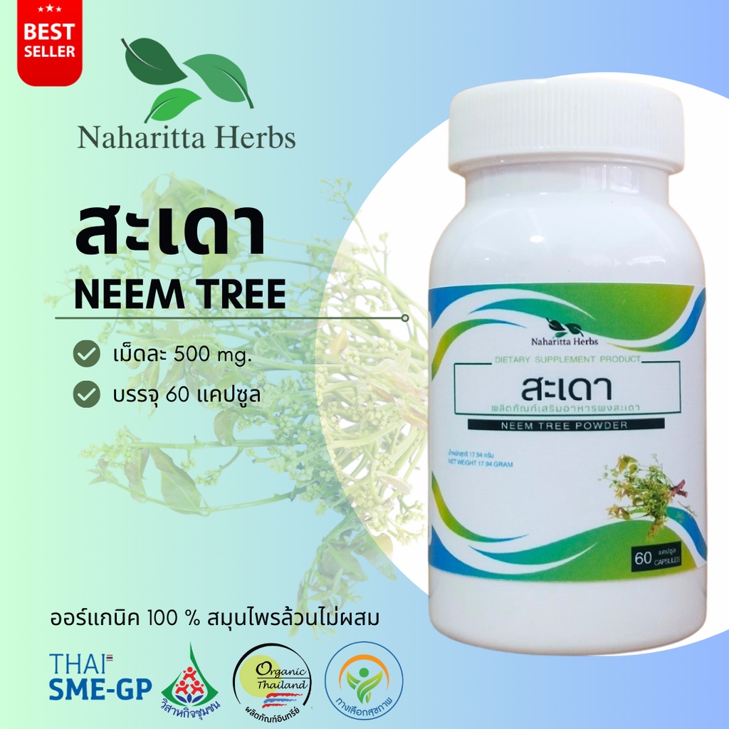 Neem Tree 1 60cap. (Jar/Envelope Choose In Options) | Shopee Philippines