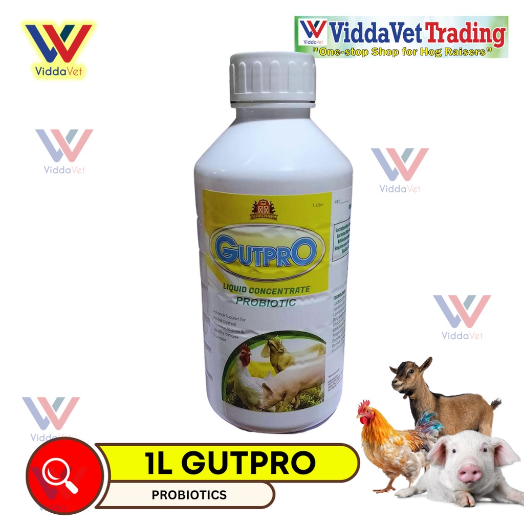 GUTPRO 1Liter Liquid Concentrated Probiotics for chicken poultry pig ...