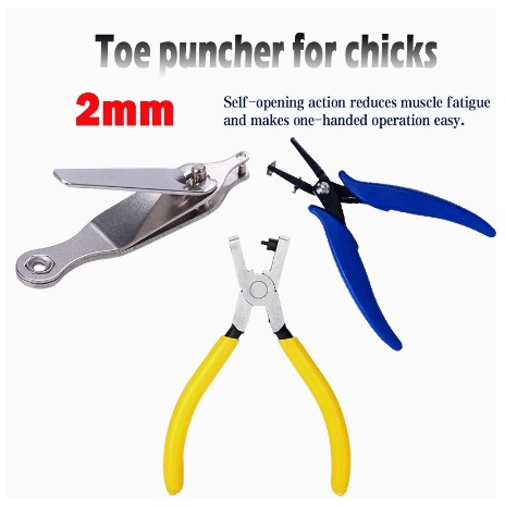 2mm Stainless Steel Toe Puncher for Chicks Nail Cutter Type Chicken ...