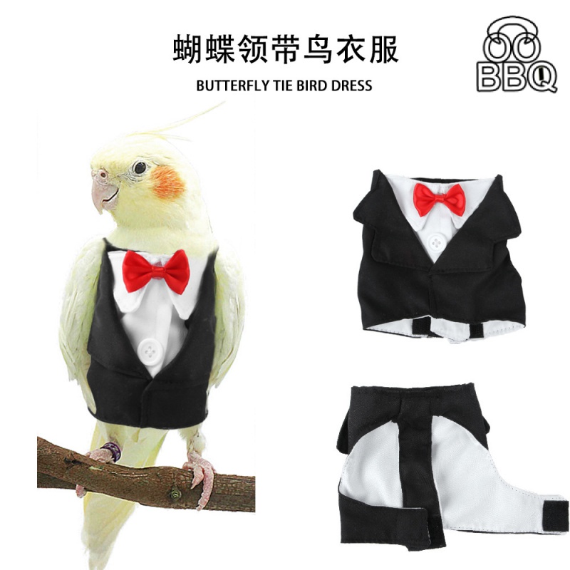 Pet bird gentleman clothes parrot dress chest and back bow tie suit ...