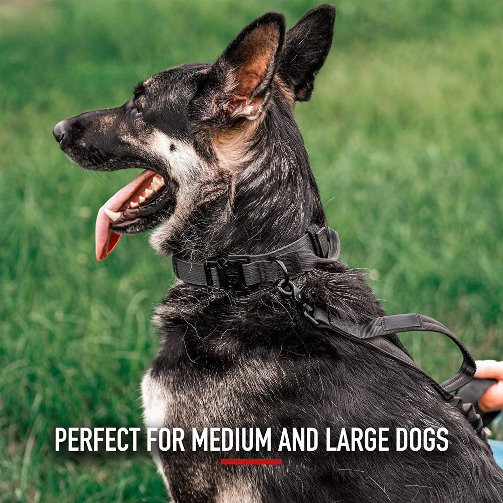 DODO Dog Collar and Leash Set Tactical Style Military Adjustable German ...