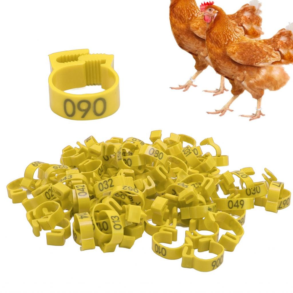 Zhenl FILFEEL Premium Plastic 100 Chicken Leg Bands 20mm 001 to ...