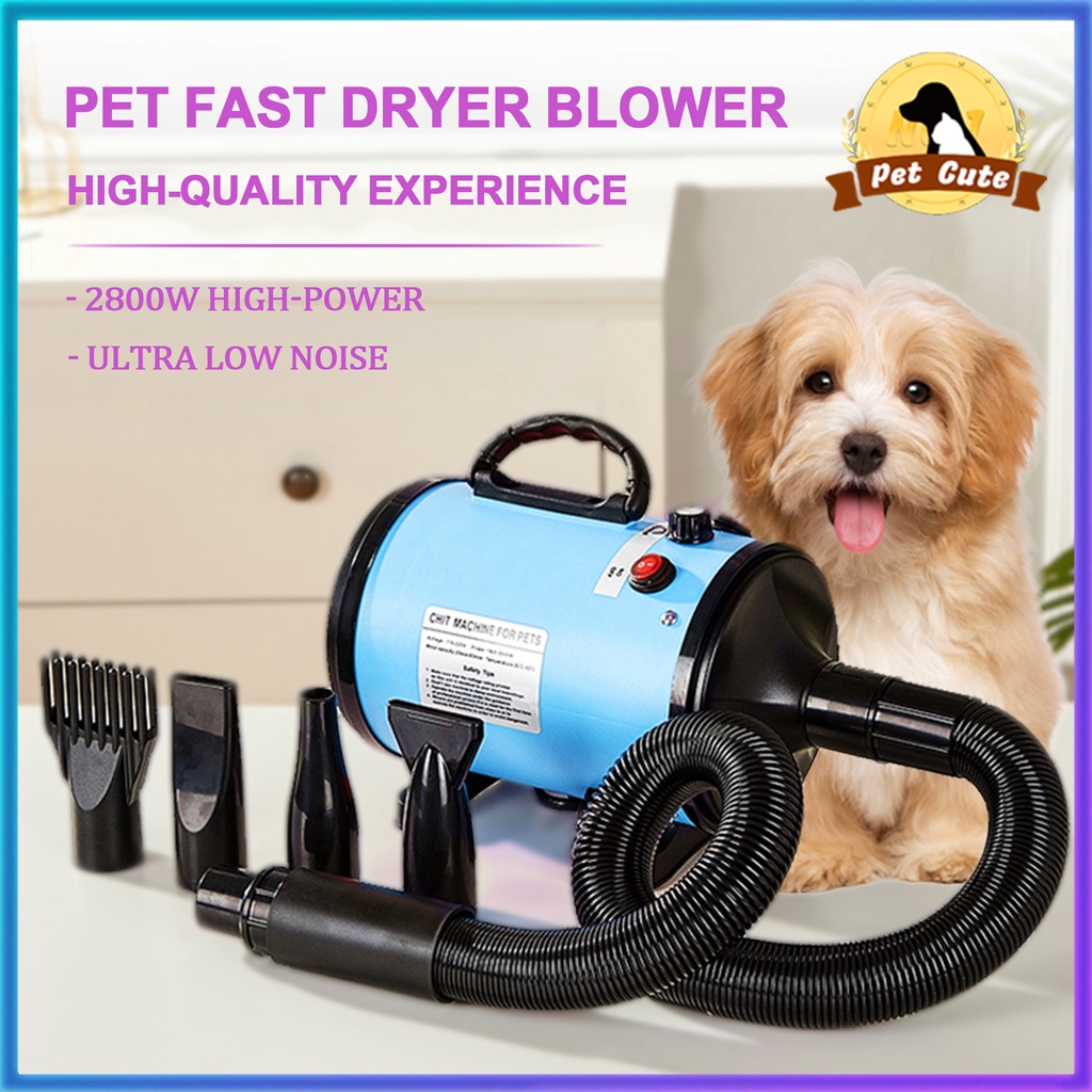 2800W Low Noise Pet Fast Dryer Blower Pet Grooming Hair Blower Supplies ...
