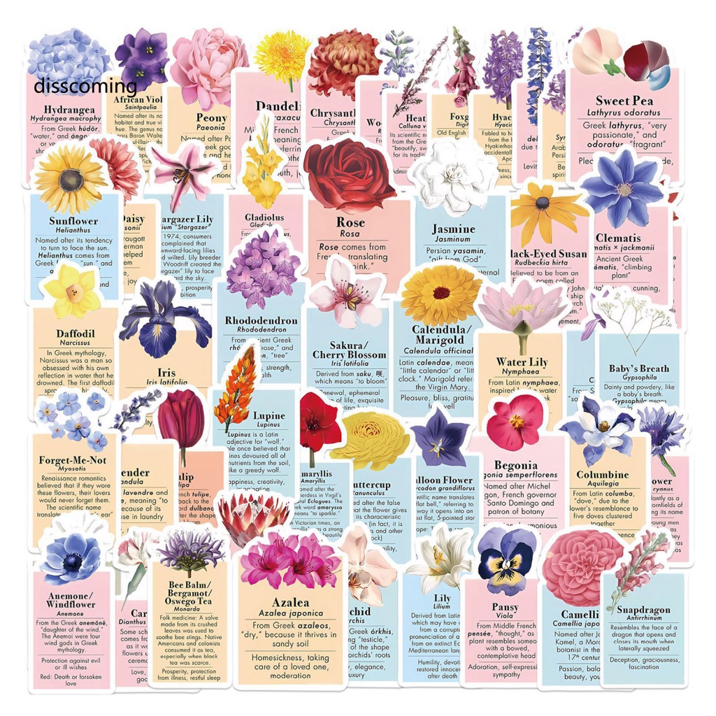 SL| Bright Color Floral Decals Pvc Floral Decals 50pcs Cute Cartoon ...