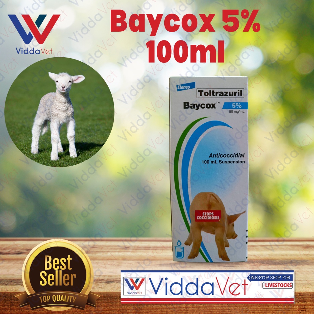 1bot Baycox toltrazuril 5% for Piglet oral Suspension 100ml 1bot Baycox ... 1bot Baycox toltrazuril 5% for Piglet oral Suspension 100ml 1bot Baycox ...