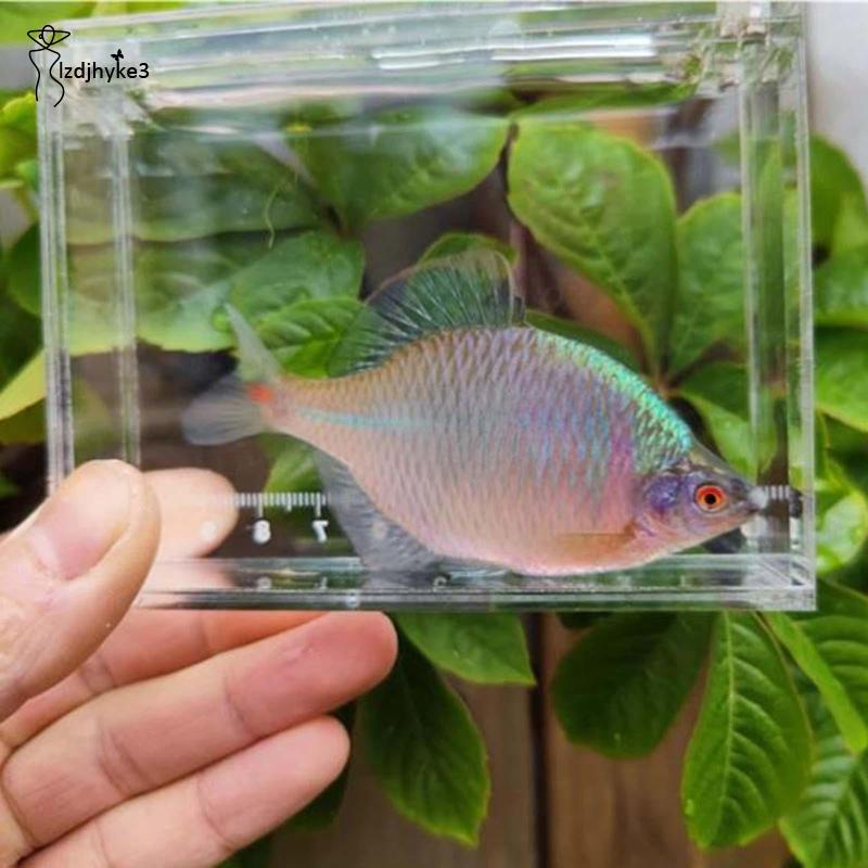 [lzdjhyke3] Fishing Photo Tank Viewing Box Acrylic Hatching Clear Micro ...