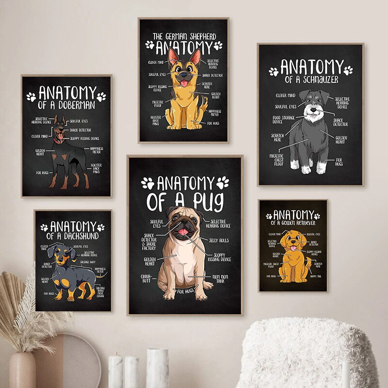 Educational Dog Anatomy Poster, Pet Characteristics Art Print, Ideal ...