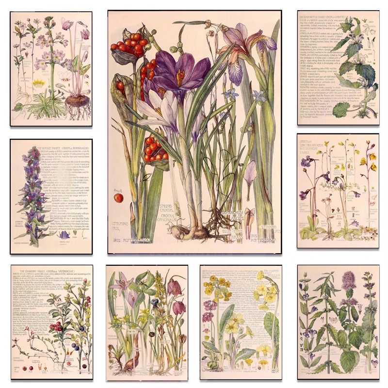 Retro Nature Wild Leaves Plant Flowers Knowledge Posters Vegetation ...