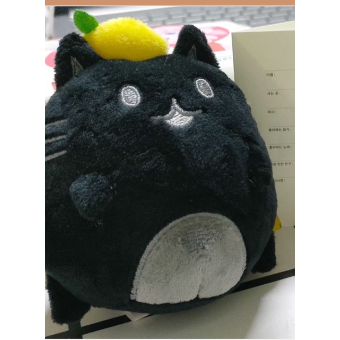 Kpop Seventeen JUN Liquid Cat FIFI Cat Doll Bag Charm Keychain | Shopee ...