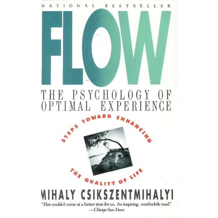Flow: The Psychology of Optimal Experience | Shopee Philippines