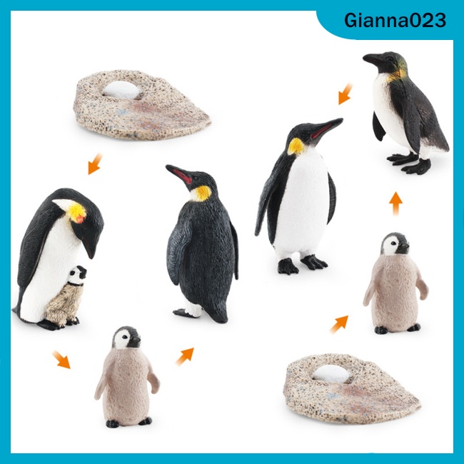 Ready Stock Realistic Penguin Action Figures Growth Cycle Life Stage ...