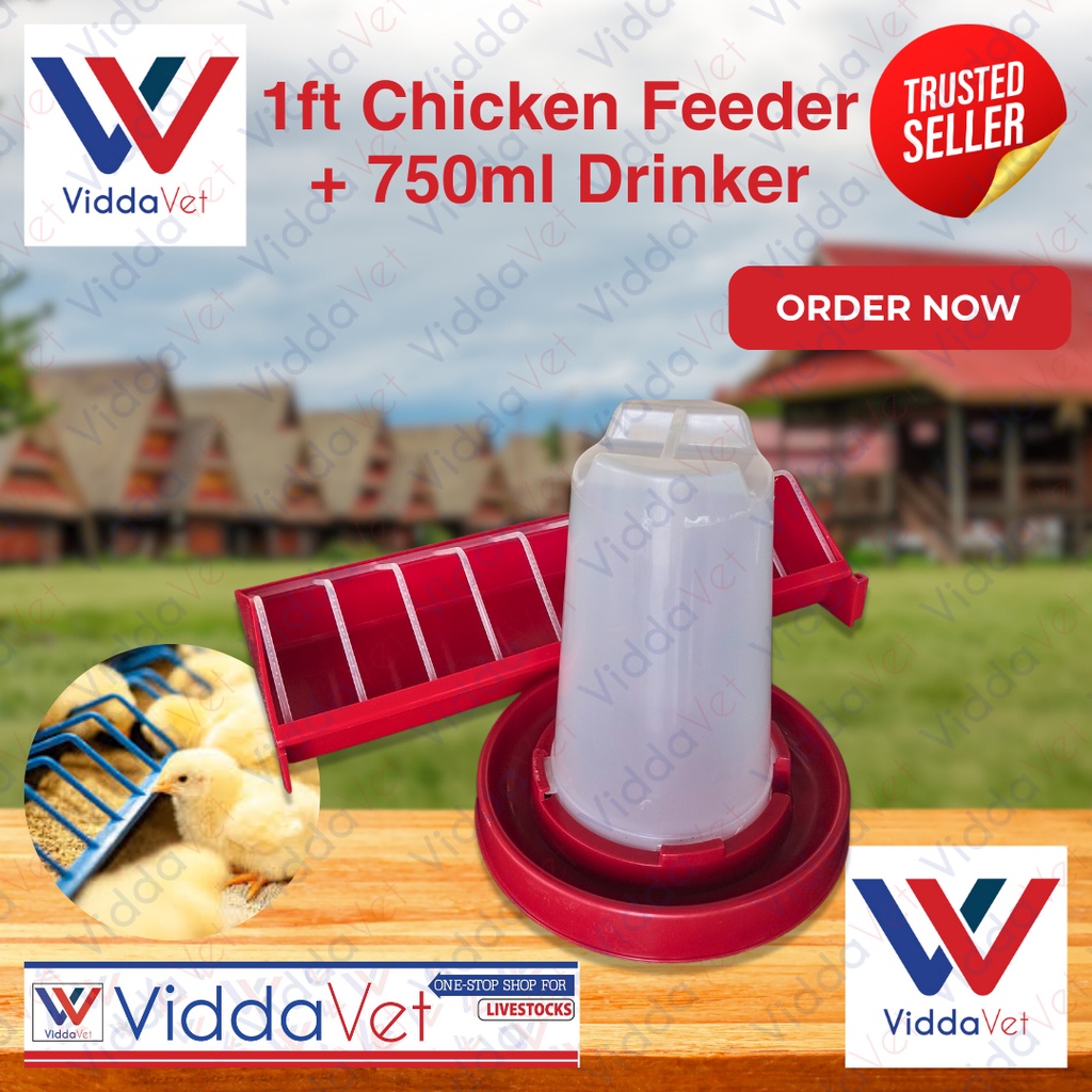 1 ft Chicken Feeder + 750 ml Drinker Chicken Farm Plastic Automatic ...