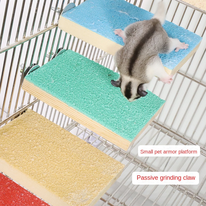 Spot Goods Sugar Glider Supplies Nail Grinding Squirrel Flower Branch ...