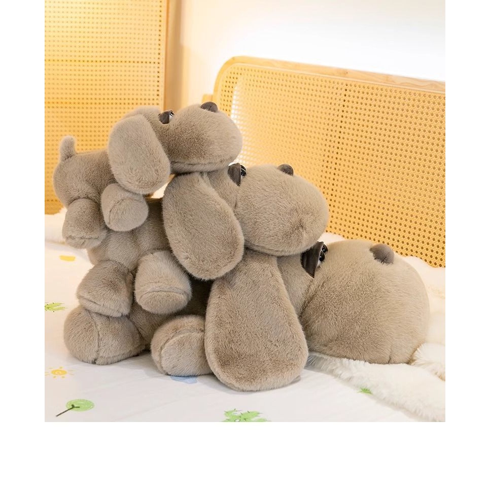 Cute Puppy Plush Toy Ragdoll Doll Big Eye Doll Children Gift (Fine ...