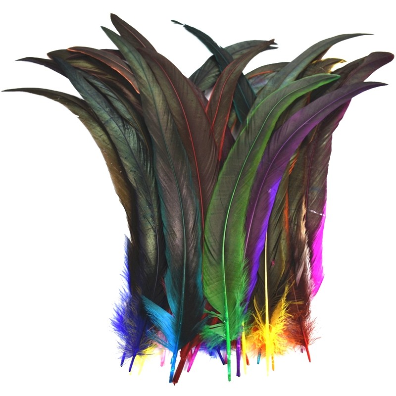 50Pcs/Lot Colorful Rooster Feathers for Crafts Black Pheasant Feather ...