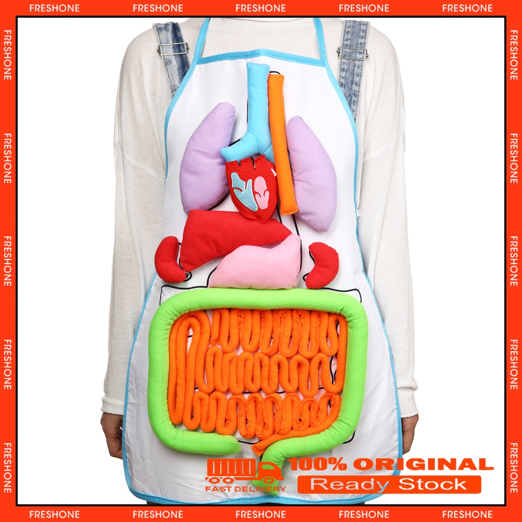 COD Anatomy Apron Human Body Organ Educational Tool Children Preschool ...