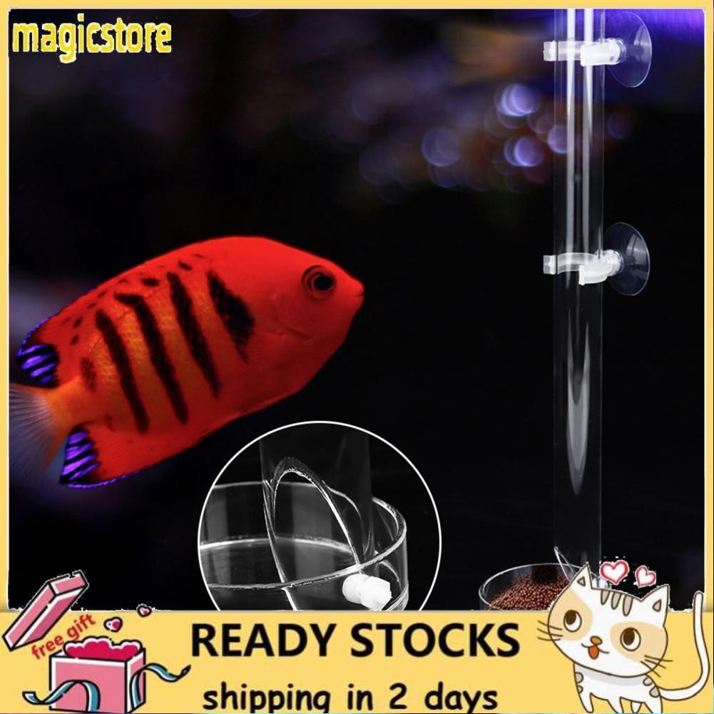 Magicstore Hffheer Fish Shrimp Feeder Tube and Plate Acrylic Clear Feeding Aquarium Tank for ...