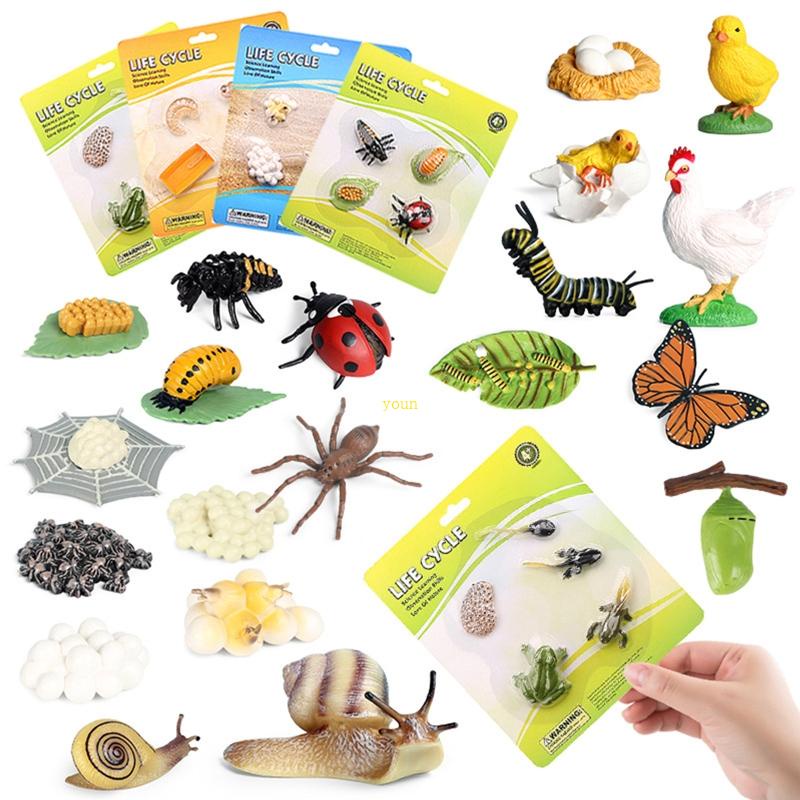 youn Simulation Animal Insects Marine Life Models Figurine Set ...