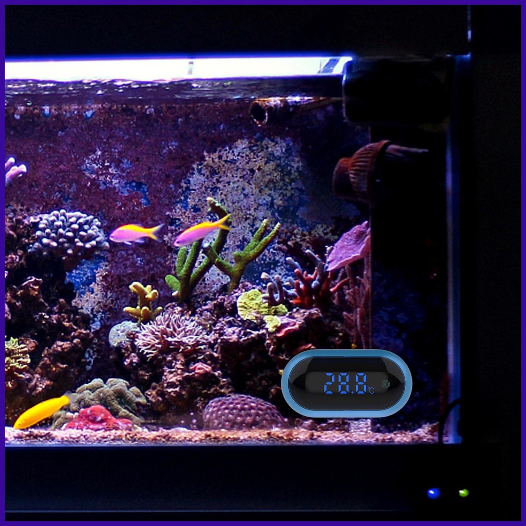 Fish Tank Digital Thermometer Fish Tank Temperature Gauge with Touch ...