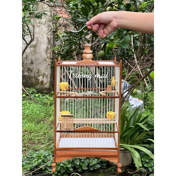 Self-assembled Cage Frame For Honey Suction, Recommendation, Bamboo ...