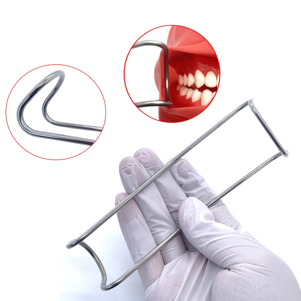 Stainless Steel Dental T-Shape Intraoral Cheek Lip Retractor Double ...