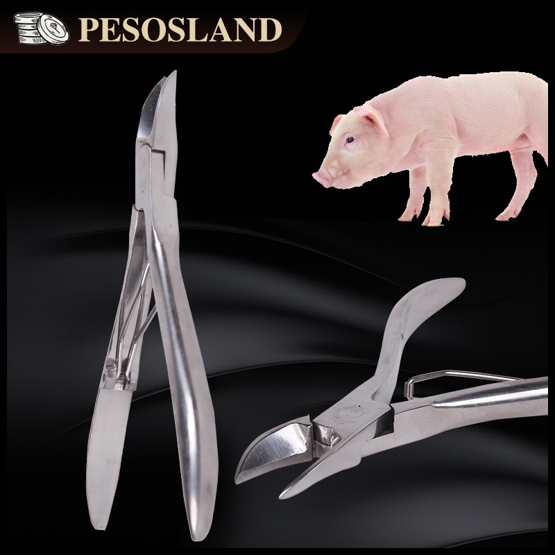 Stainless Steel Piglets Teeth Cutter Piglets Teeth Clipper Dog Piglet ...