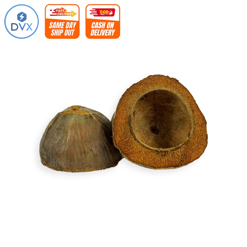 COD DVX Bunot #3890 Multipurpose Coconut Husk Bao Manual Floor Polisher ...