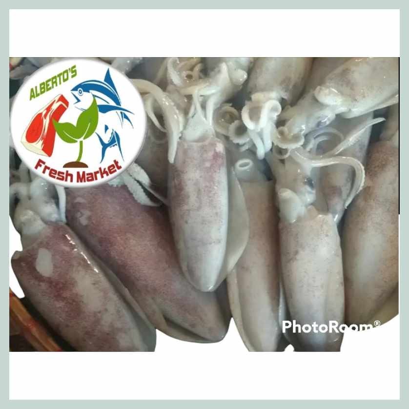 FRESH~i-SEAFOODS]s&bm`SQUID;Nv`(;TV`PUSIT);yd`500g | Shopee Philippines