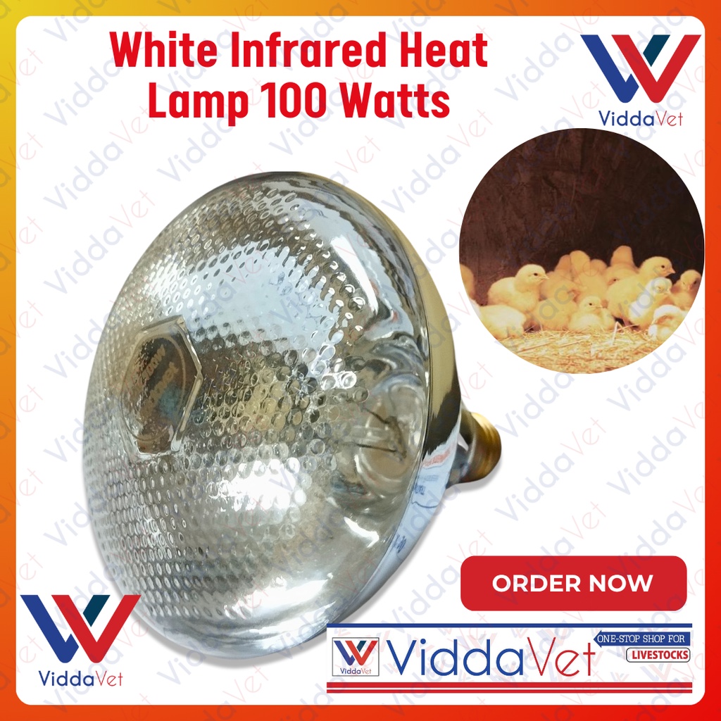 Viddavet Piggery and Poultry BROODER Heat LAMP Bulb 100 watts for ...