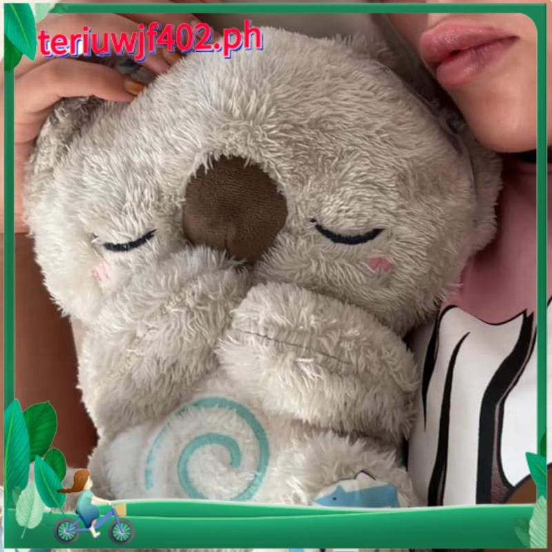 Calming Otters Anxiety Otters Sleep Otters Anxiety Relief Koala the ...
