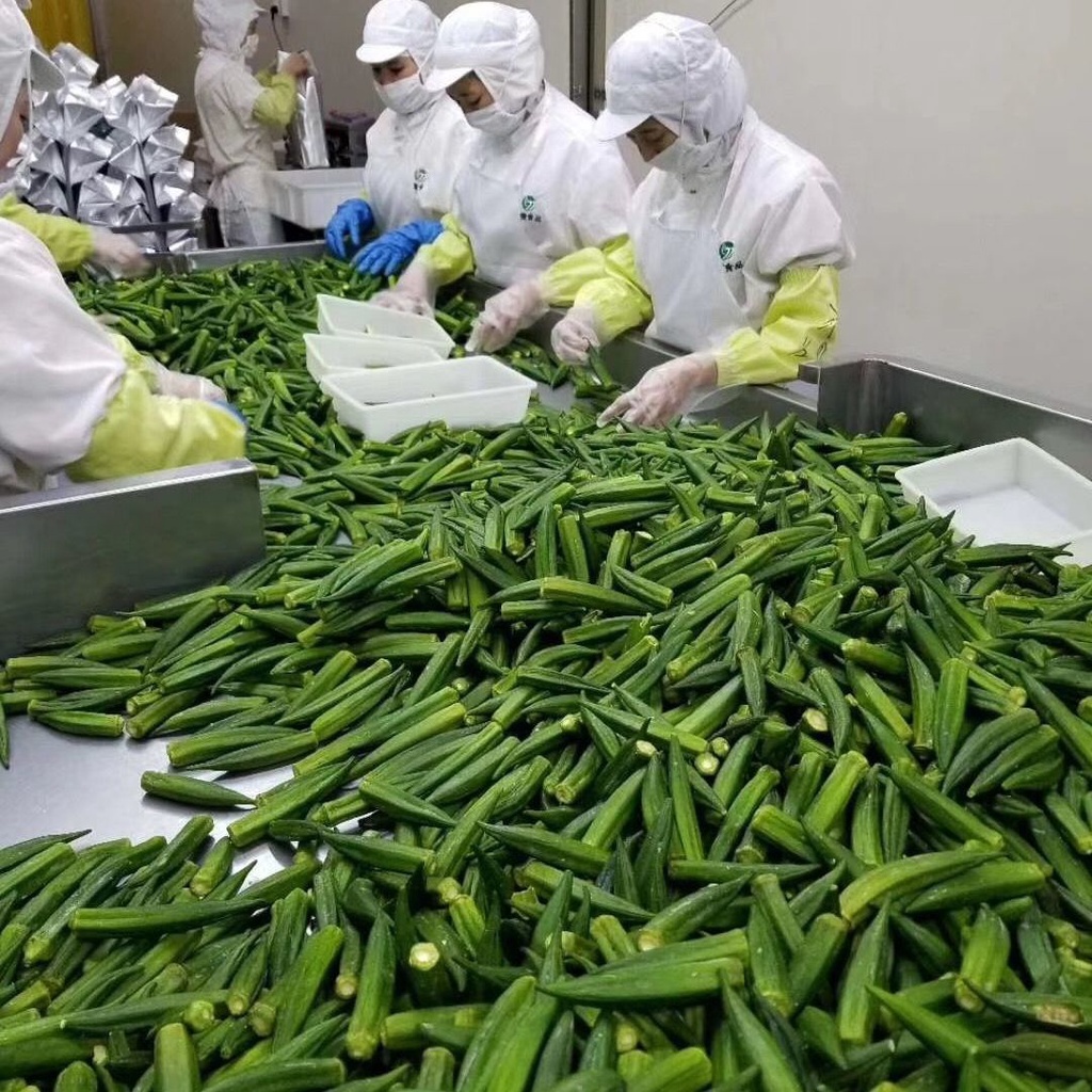 Okra dried okra crispy fruits and vegetables crispy instant bagged bulk ...