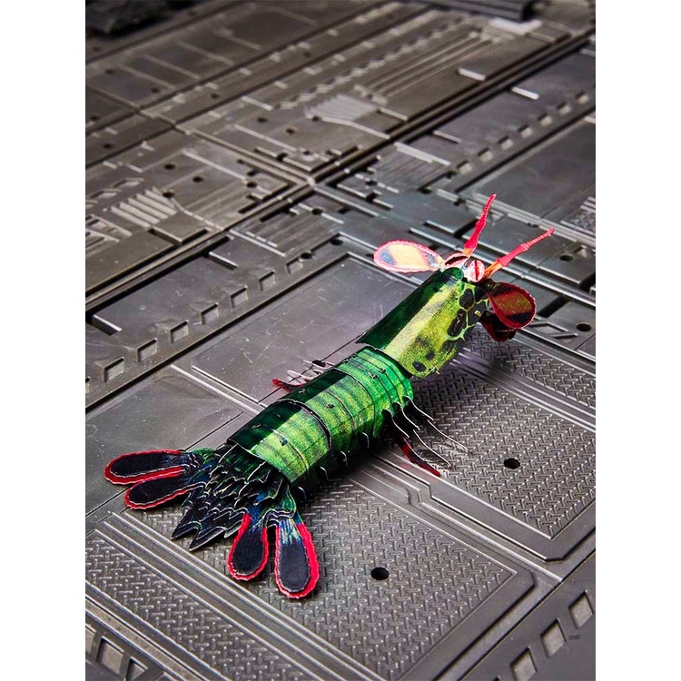 Pipi Shrimp we walk the bird tail mantis shrimp all-metal DIY creative ...