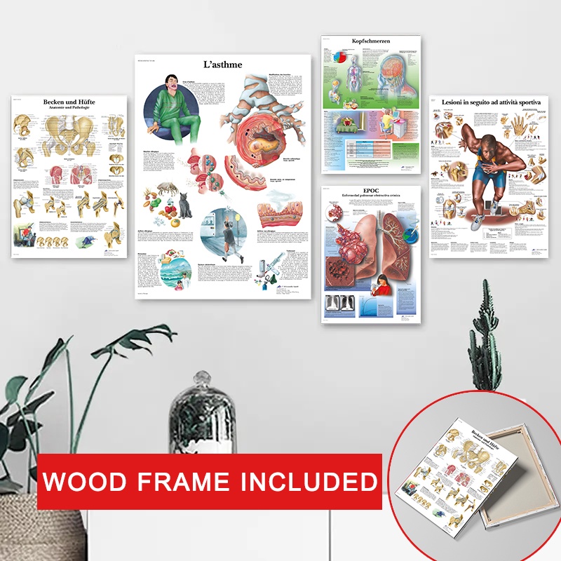 （With Frame）40x50cm Frame High-definition Human Facial Features ...