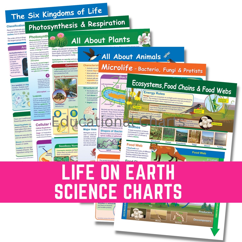 LIFE ON EARTH POSTERS CHARTS , A4 Size Laminated for kids & teachers ...