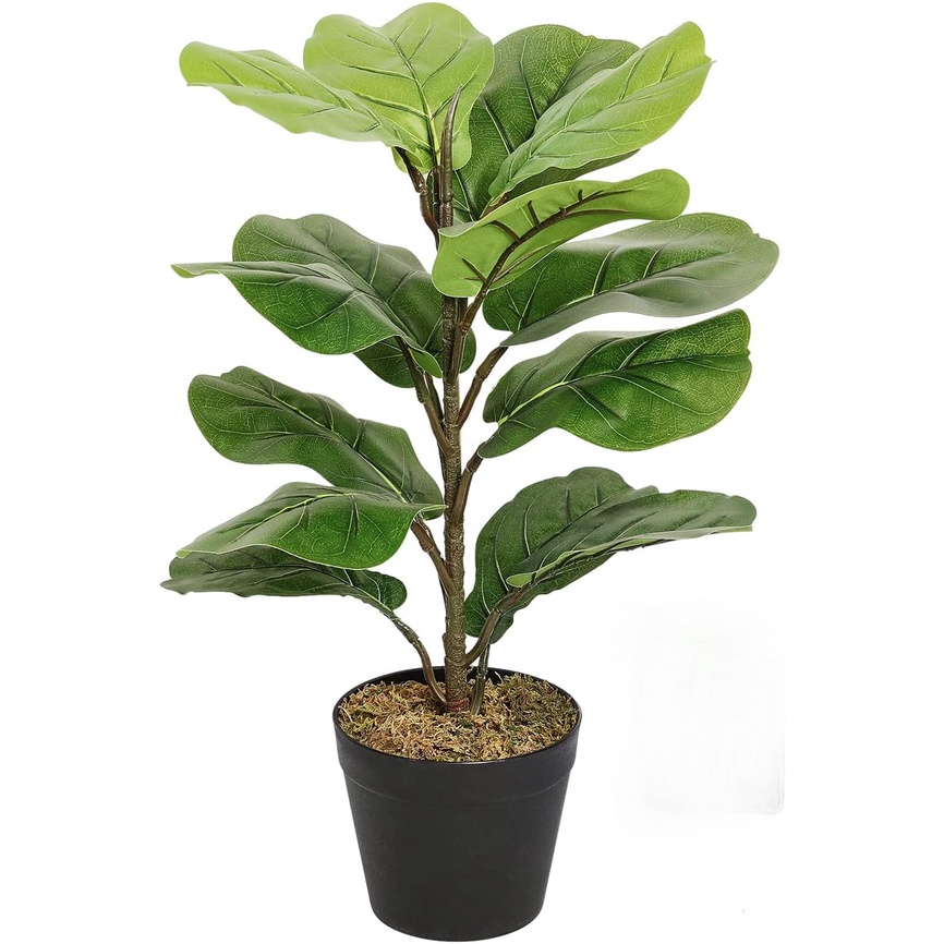 Artificial Fiddle Leaf Fig Tree in Cemented Plastic Pot, 22" Ficus ...