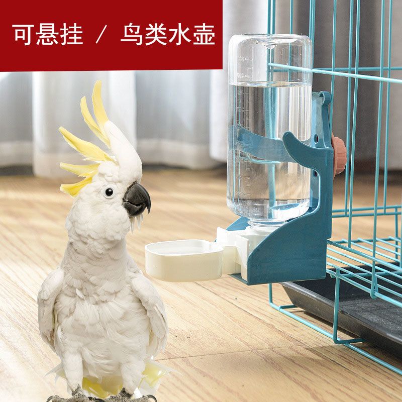 Can Hang Parrot Drinking Fountain Bird Multi-Purpose Drinking Fountain ...
