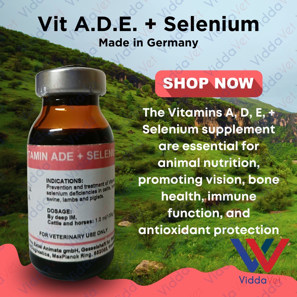 Vitamin ADE + Selenium 10ml viddavet for animals pig , calves , sheep ...