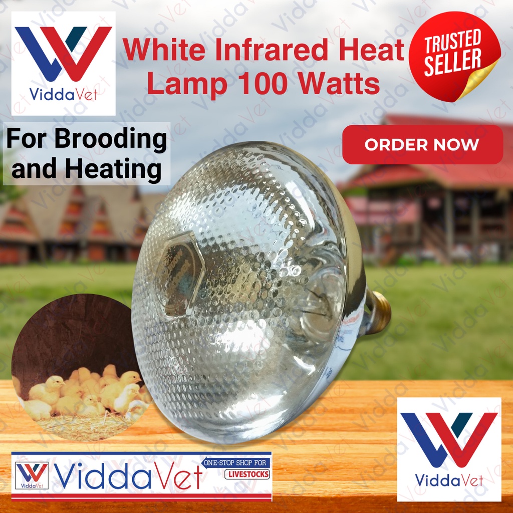 Piggery and Poultry BROODER Heat LAMP Bulb 100 watts for Viddavet ...