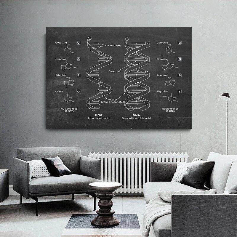 Educational Vintage Human DNA and RNA Genetic Code Patent Artwork ...