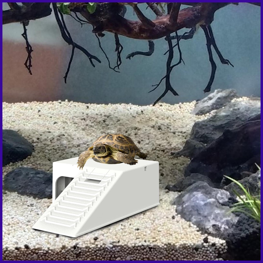 Turtle Basking Platform Wear-Resistant Tortoise Terrace Basking ...