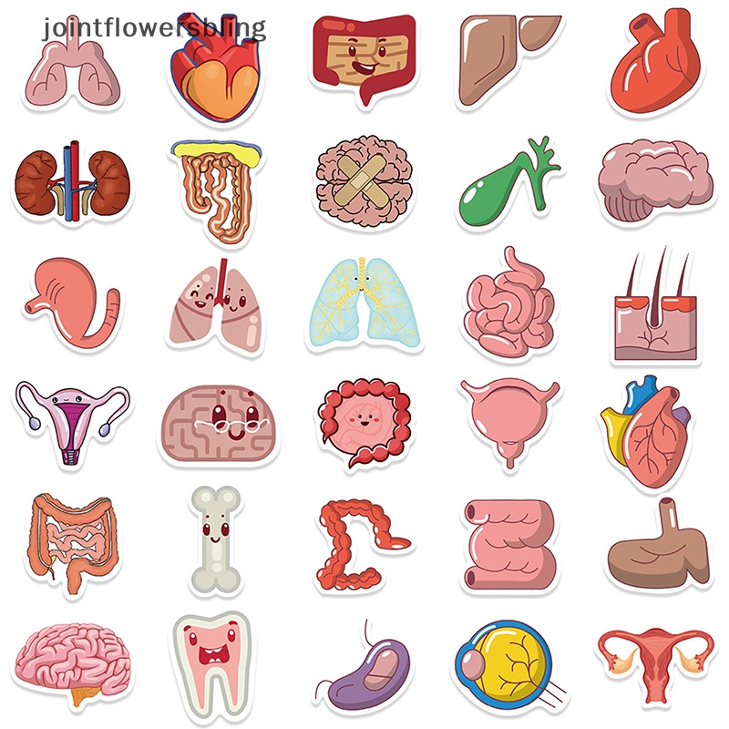 JOPH DIY Graffiti Waterproof Stickers 65PCS Cartoon Human Organ Cute ...