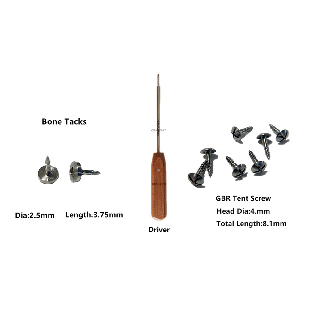HoubIIPB1 In Stock Dental Bone Tack GBR Tenting Screw Driver Implant ...