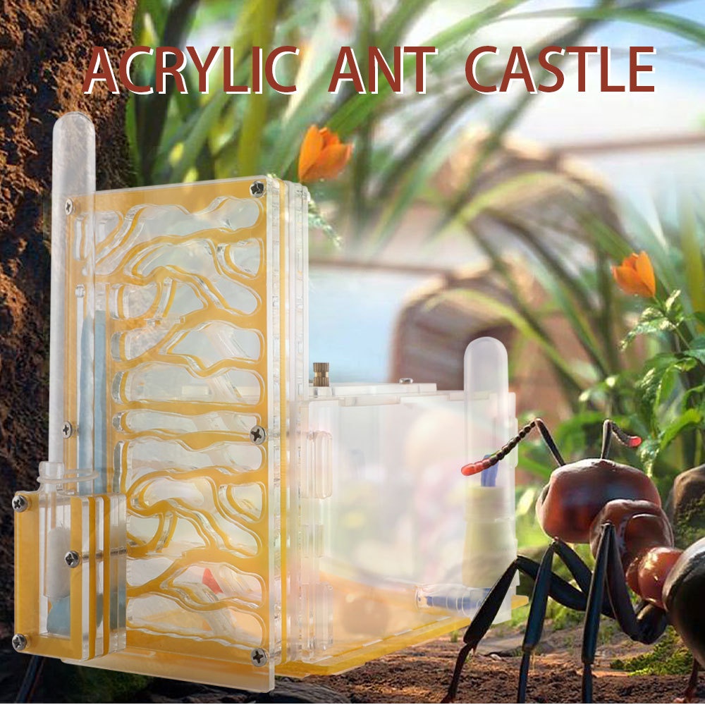 Transparent Transparent Acrylic Pet Ant Nest Villa Castle Ant Eco Box Ant Workshop Tribe Ant ...