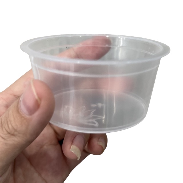 Caramel Flan Plastic Jars, Jelly, Yogurt, Slime Storage (Flan Box With ...