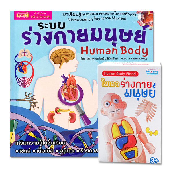 (BookZone): Primary Human Body System Book +Human Model | Shopee ...
