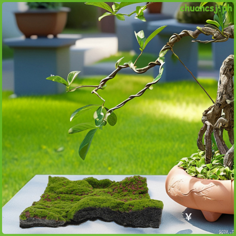 [READY STOCK] 2 Pcs Diorama Moss Simulated Lawn Model Grass Mini Rug ...